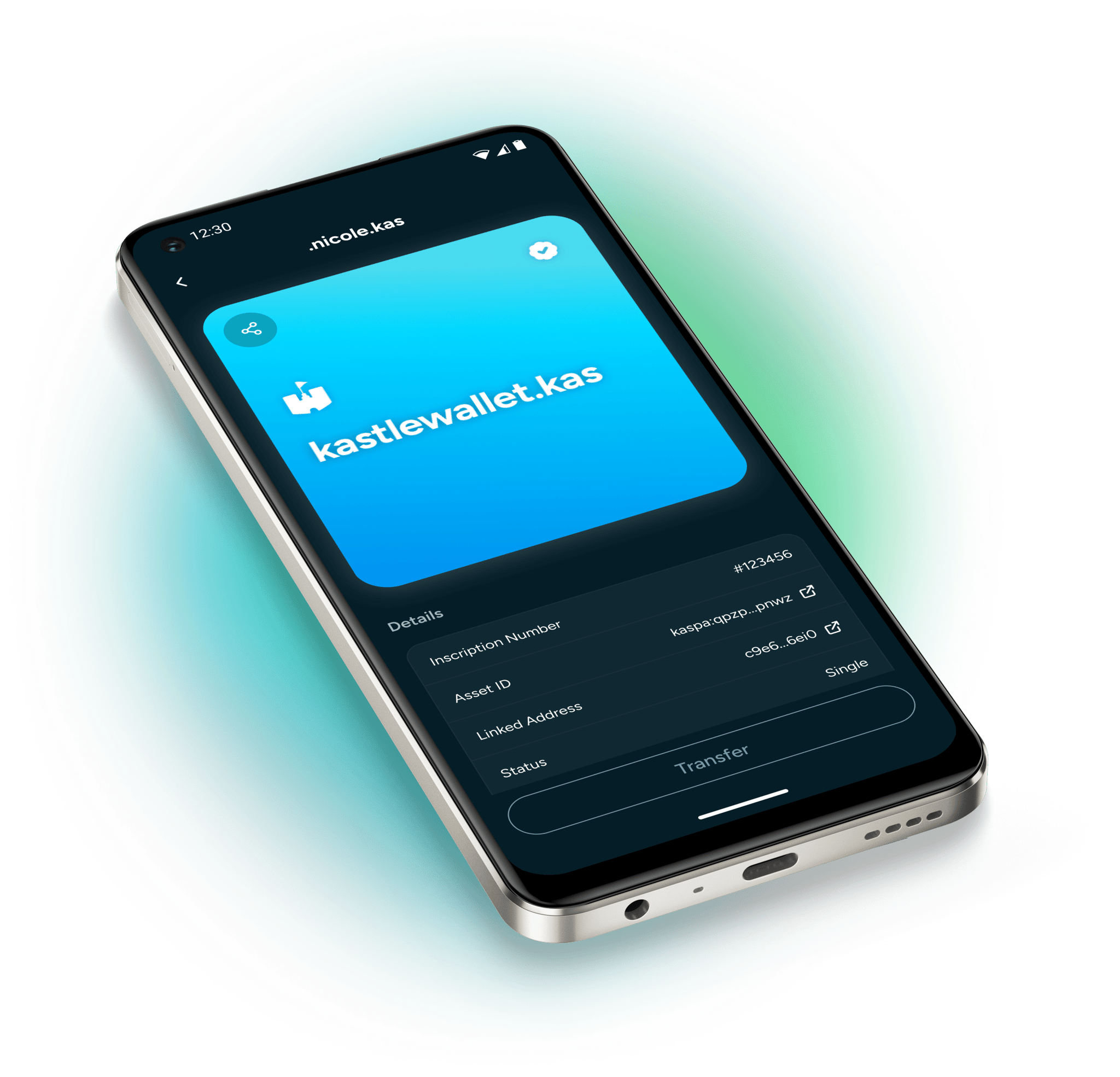 Kastle – Fast & Secure Kaspa Wallet